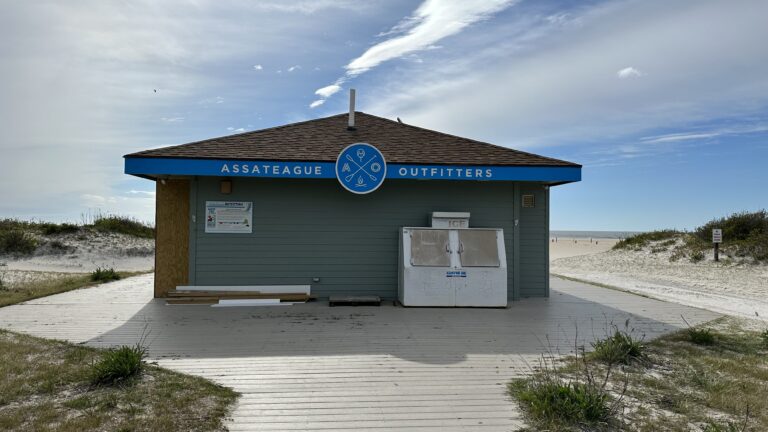 Ultimate Guide to the Beaches on Assateague Island National Seashore