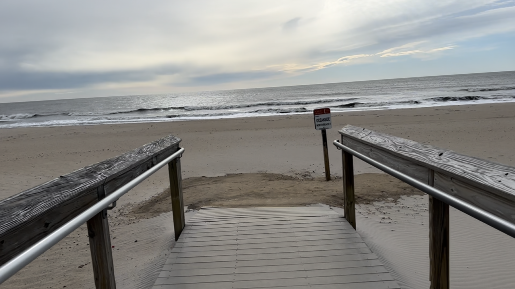 Ultimate Guide to the Beaches on Assateague Island National Seashore