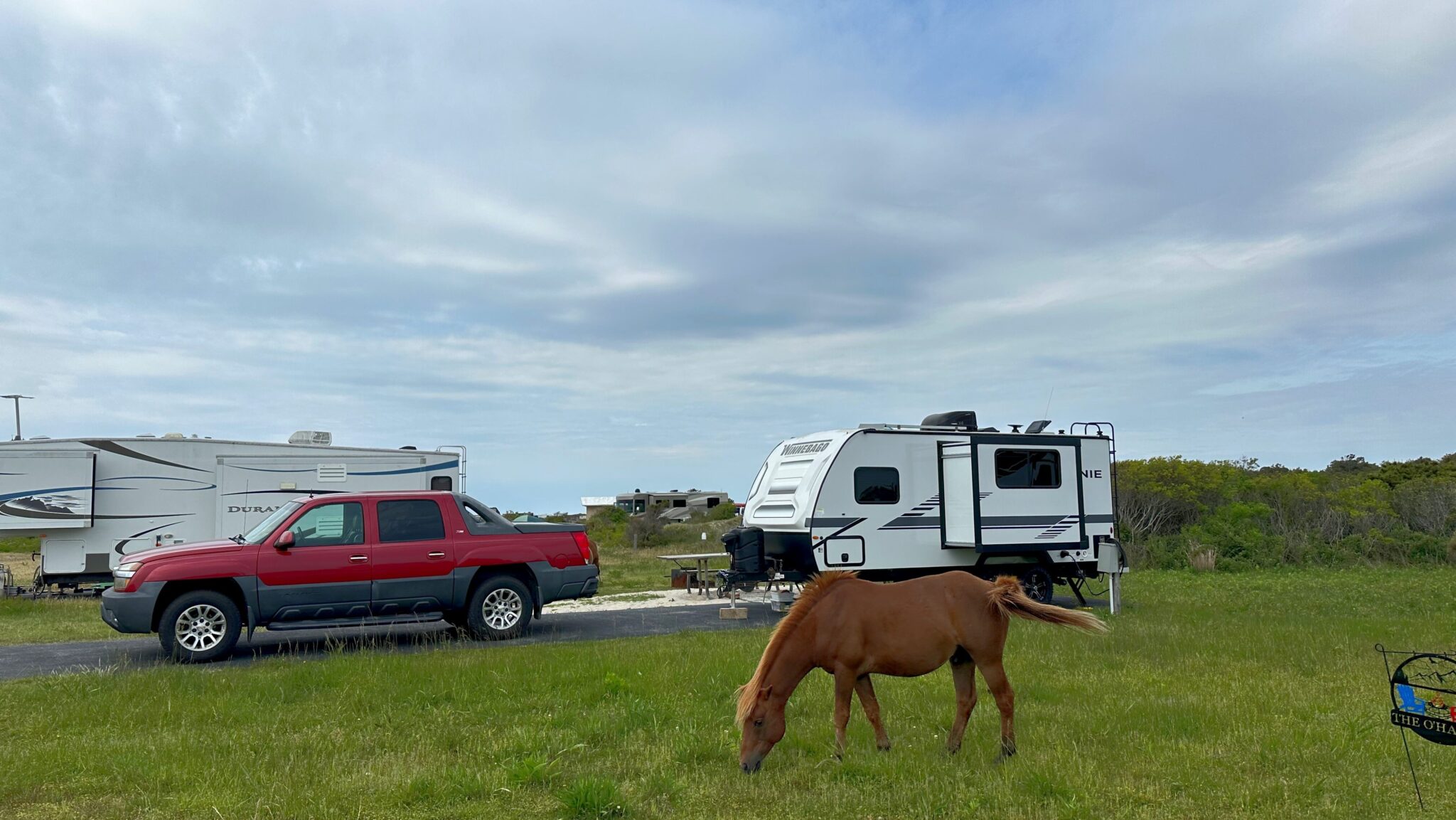 Ultimate Guide to Camping on Assateague Island: Tips, Sites, and ...